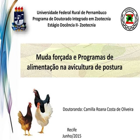 Muda forçada Aulagggggfdsaaaasdddfff.pptx