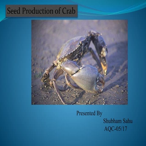 seed production of mud crab | PPTX