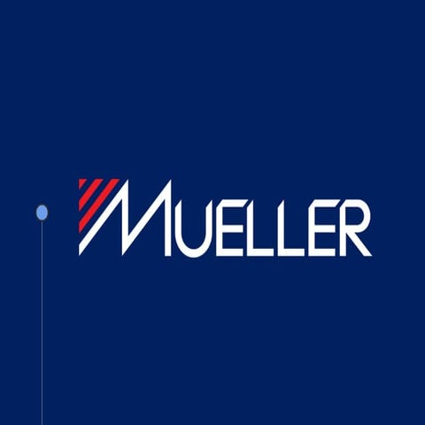 Mueller Electric Capabilities | PPT