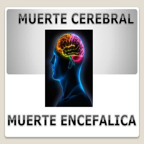Muerte cerebral | PPTX
