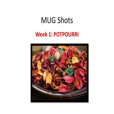 Mug shots weeks 1 - 4 | PPTX
