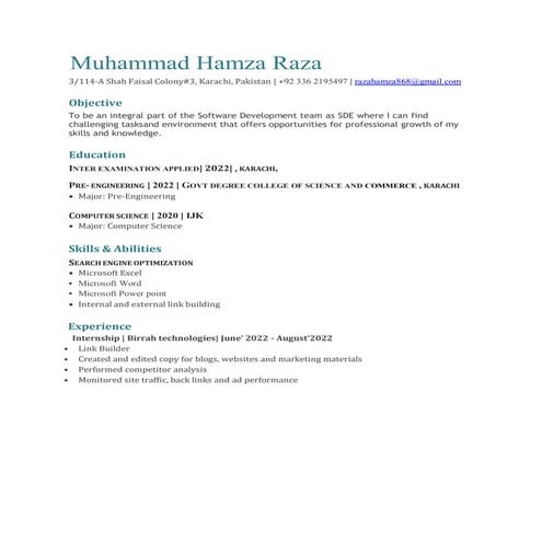 Muhammad Hamza Raza CV.pdf