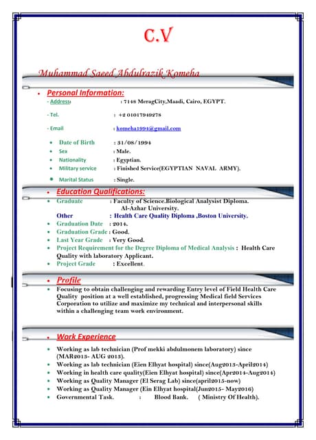 mohamed_abdallah_c.v.final[1] | PDF