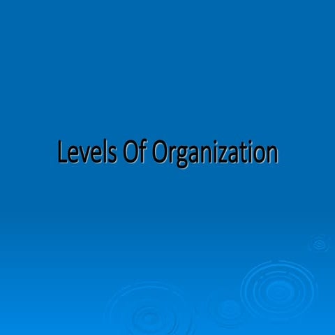 Muhammad Sami 1.pptx