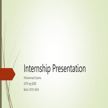 Muhammad Usama Internship Presentation.pptx