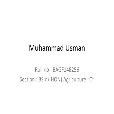 Muhammad usman | PPTX