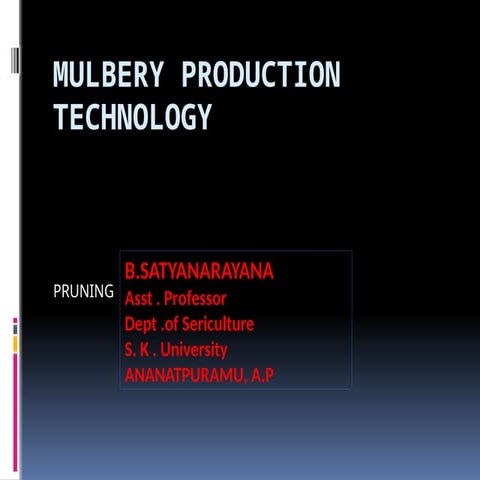 Mulberry pruning and training methods by Dr Satyanarayana | PPTX