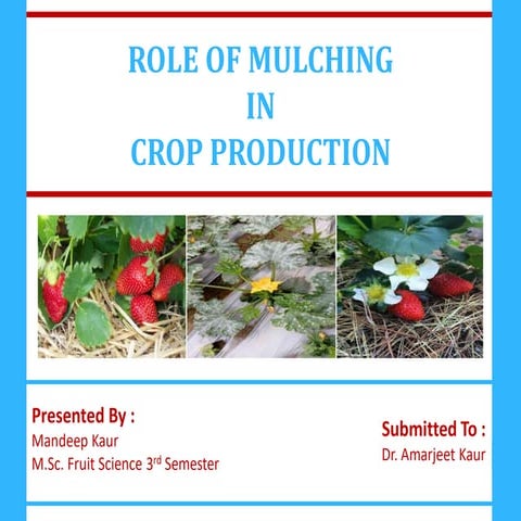Mulching | PDF