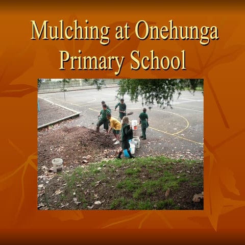 Mulching At Onehunga Primary School | PPT