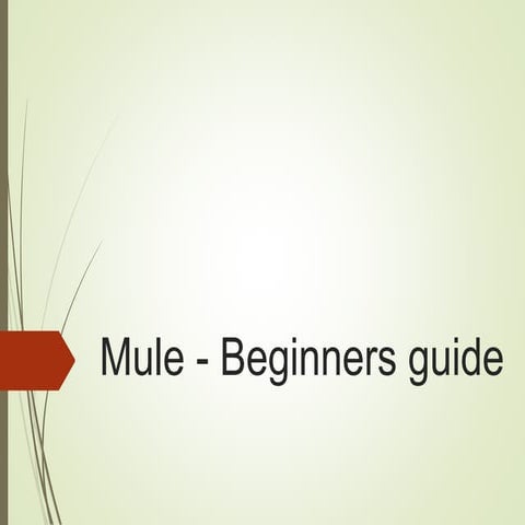 Mule basics | PPTX