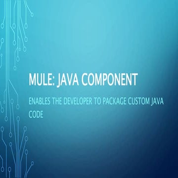 Mule Java Component Ppt