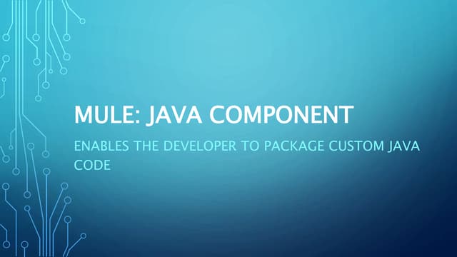 Mule Java Component Ppt