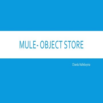 Mule Object Store Ppt