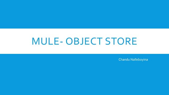 Mule Object Store Ppt