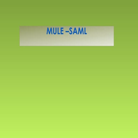 Mule SAML | PPT