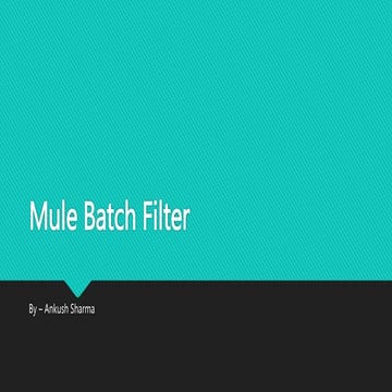 Mule Batch Filter | PPTX