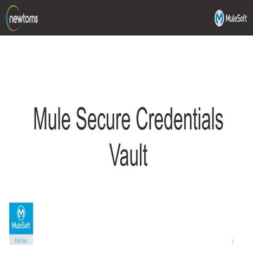 Mule Credentials Vault | PPTX