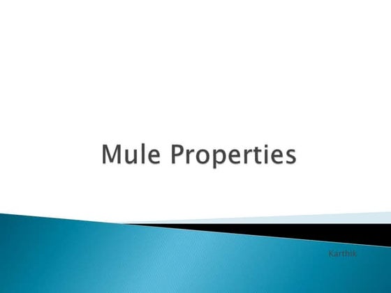 Mule system properties | PPT