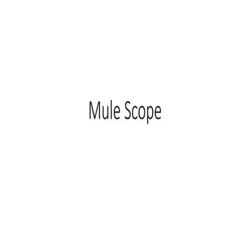 Mule scope | PPTX