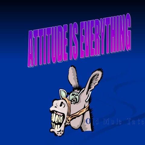 Old Mule | PPT