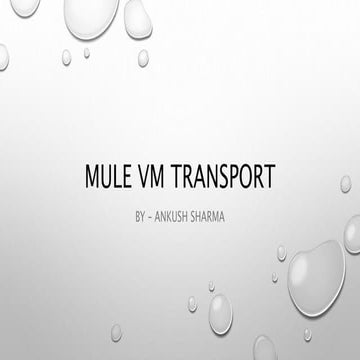 Mule VM Transport | PPTX | Computer Networking | Computing