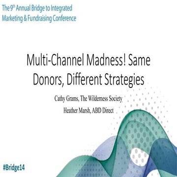 Multi-Channel Madness! Same Donors. Different Strategies: Bridge ...