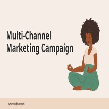 Multi-Channel Marketing Campaign Example.pptx