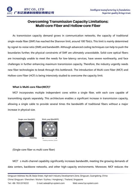 Integrated Subassemblies for 800G 1.6T Transceivers.pdf
