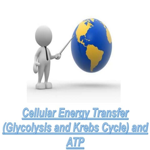 ATP......................?.?............ | PPT