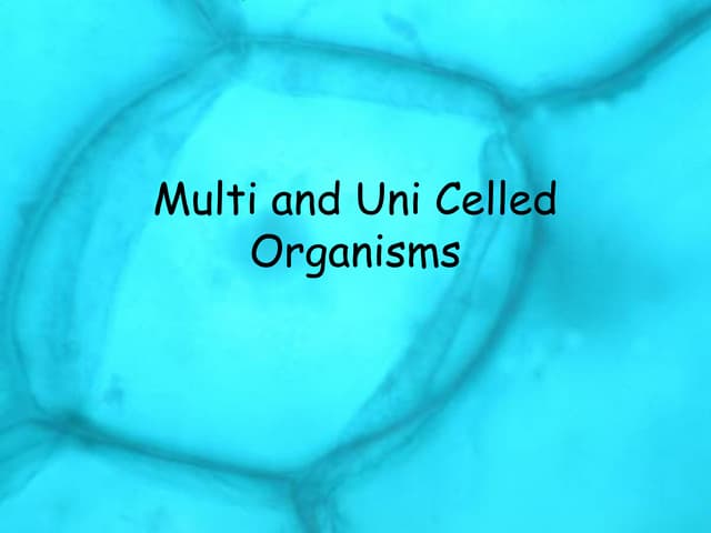 Unicellular and mulitcellular | PPTX