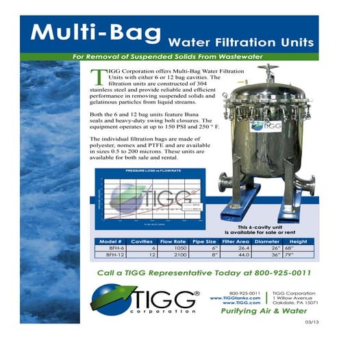 TIGG Liquid Phase Multi Bag Filters | PDF