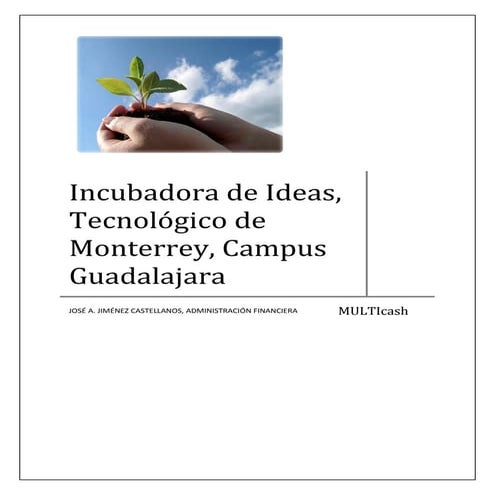 MULTIcash | PDF