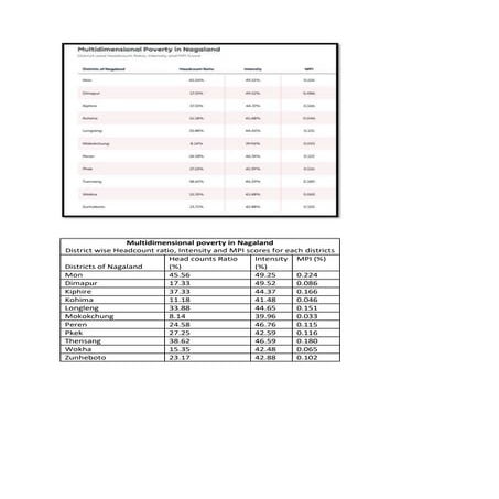 Multidimensional poverty in Nagaland.docx