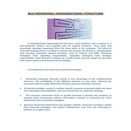 Multidivisional organizational structure | PDF