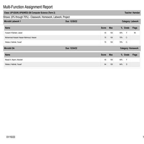 multiFunctionAssignmentRepo (2).pdf