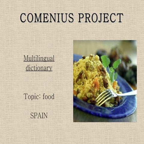 Comenius Multilingual Dictionary Spain | PPT
