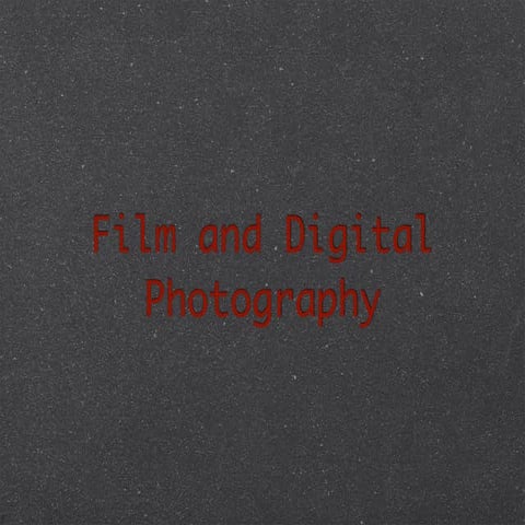 Photograms and darkroom procedure | PPT