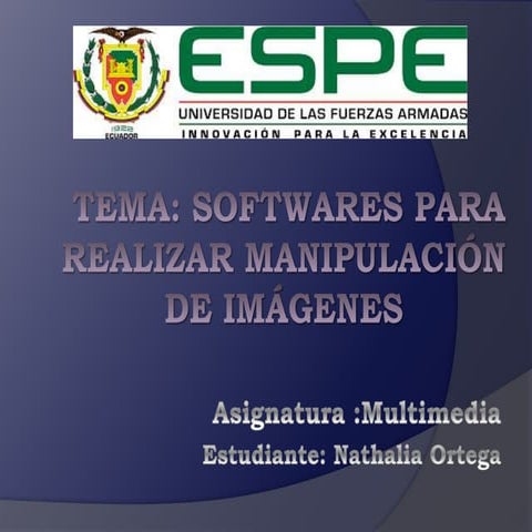 Software para Manipulación de imagen | PPTX