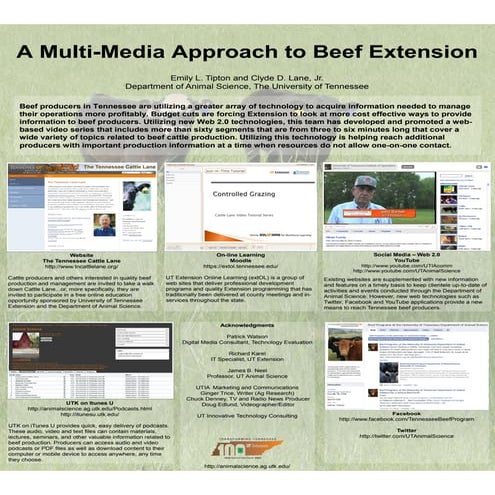 A Multi-Media Approach to Beef Extension | PDF