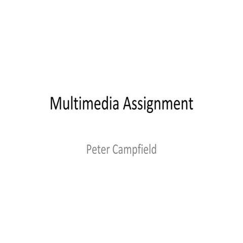 Multimedia assignment | PPT