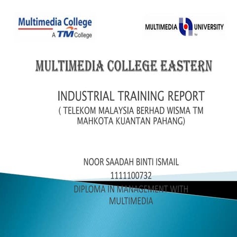 Multimedia college eastern | PPTX | Small and Medium-sized Business ...