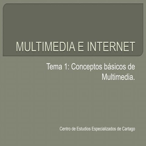 Multimedia e Internet: Conceptos Básicos | PPTX