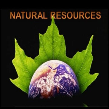 Multimedia Lesson Plan Pptx