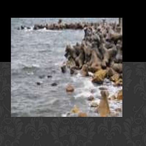 Recognize & Accept Limitations | PPTX