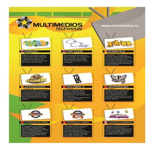 Multimedios Tv Flyer | PDF
