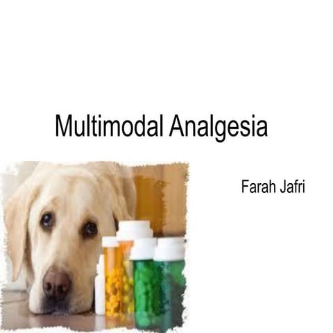 Multimodal analgesia Al Razi hospital Kuwait | PDF