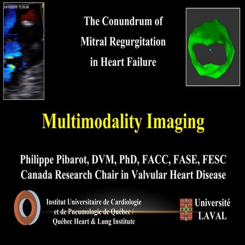 Multimodality imaging. | PDF