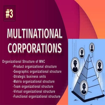 multi national structure.pptx