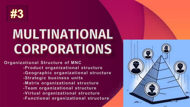 The organizational structure of a multinational company.docx