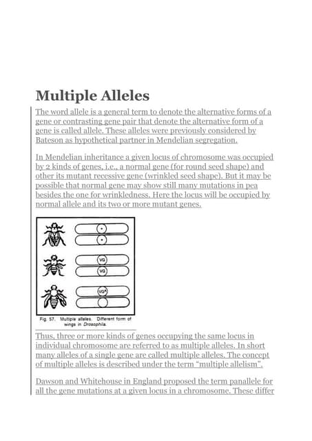 Multiple Alleles | PPT